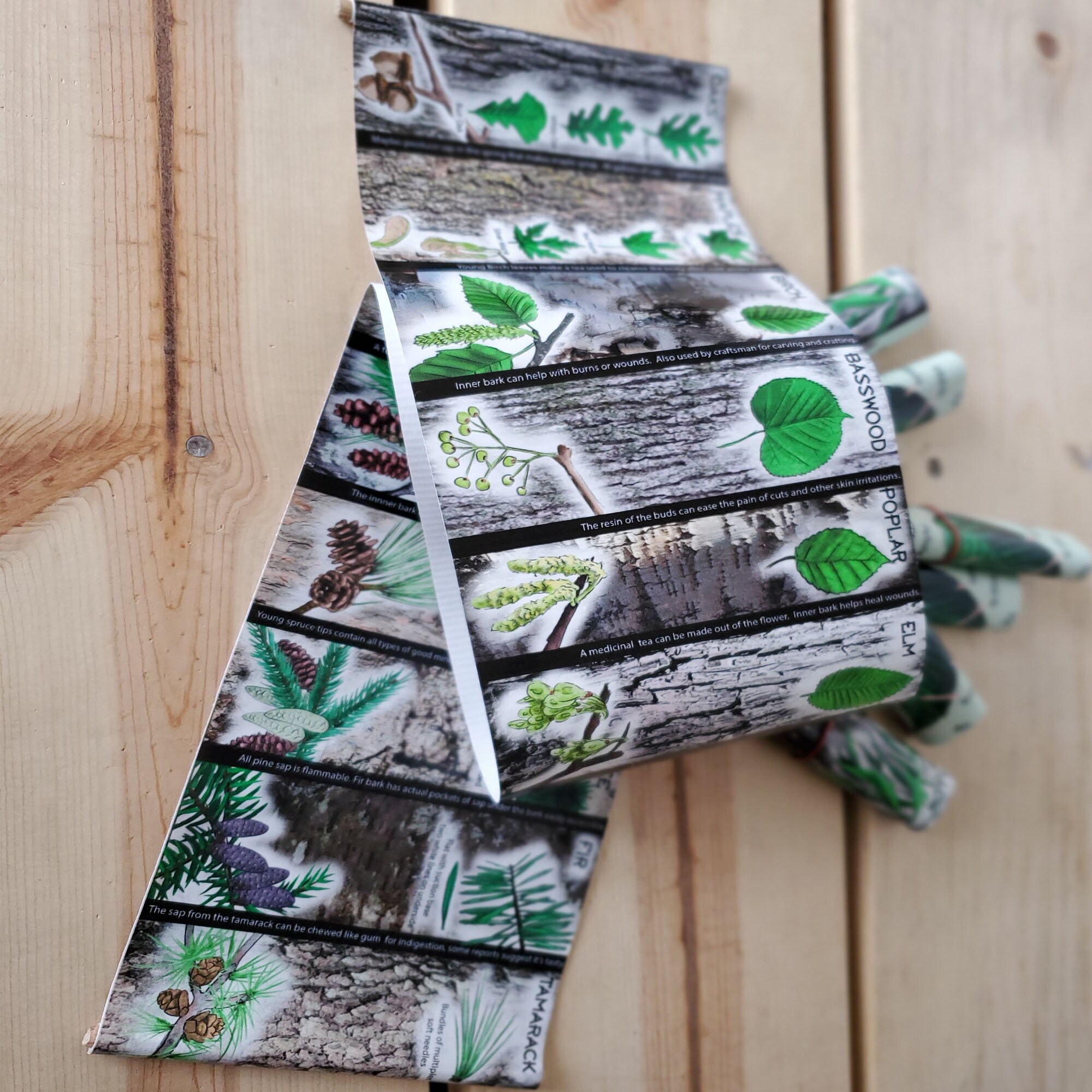 TAO tree and Observation Scroll - Etsy