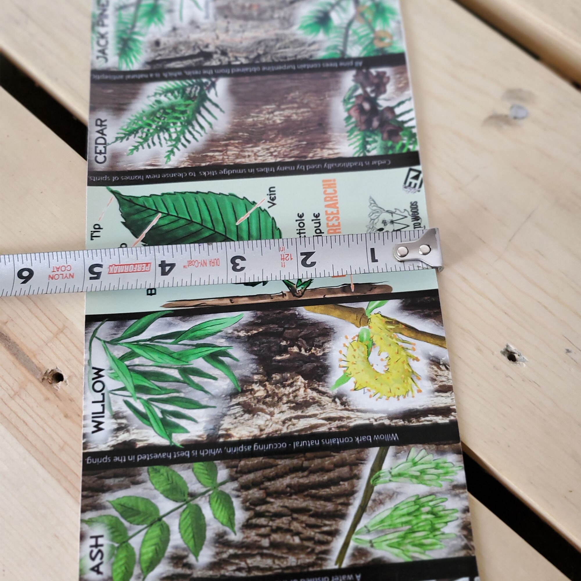 TAO tree and Observation Scroll - Etsy