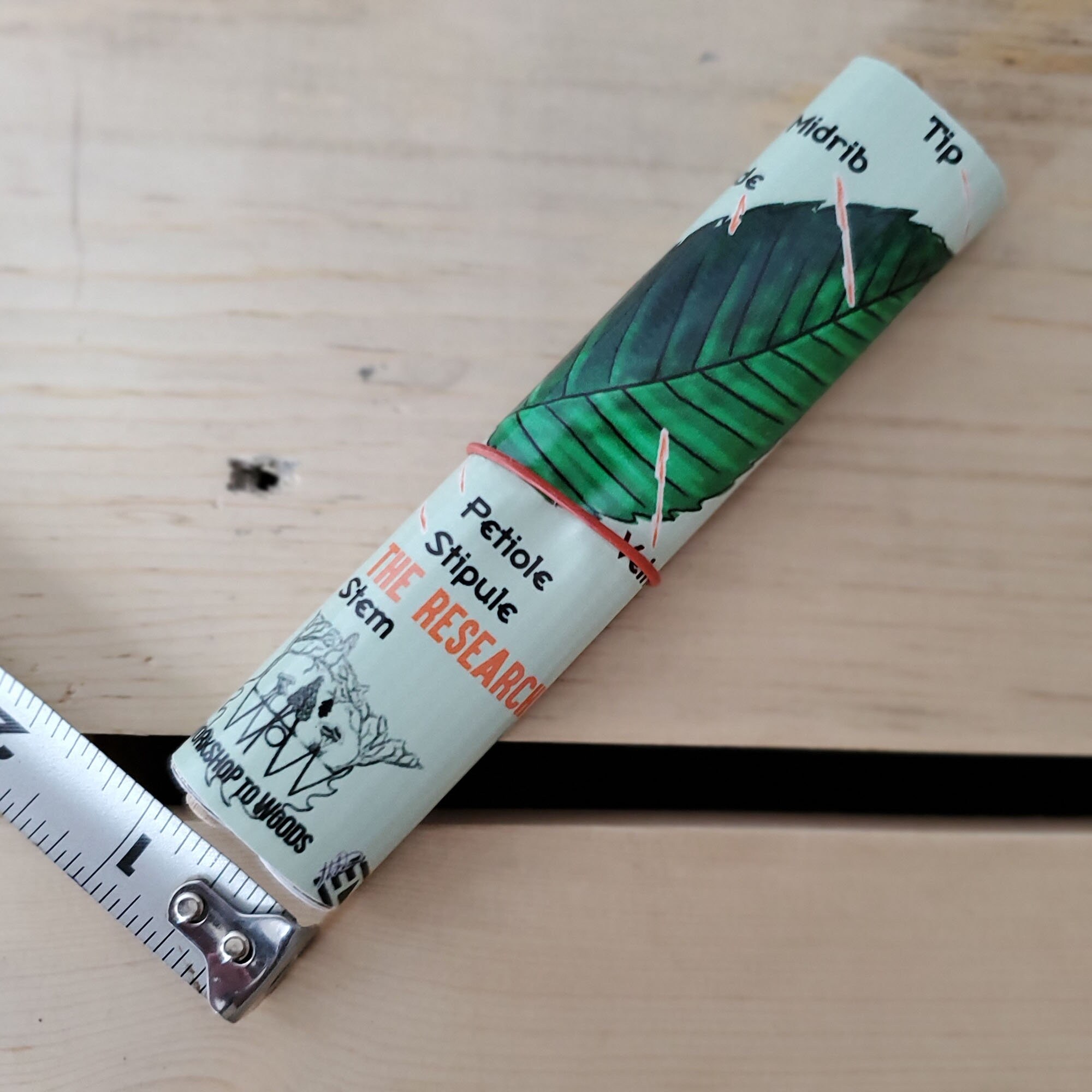 TAO tree and Observation Scroll - Etsy