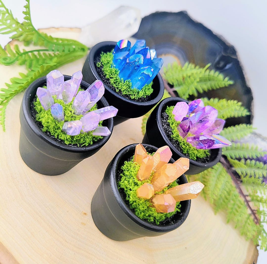 Handmade Mini Titanium Quartz Crystal Garden: Black Terracotta Pot - Etsy