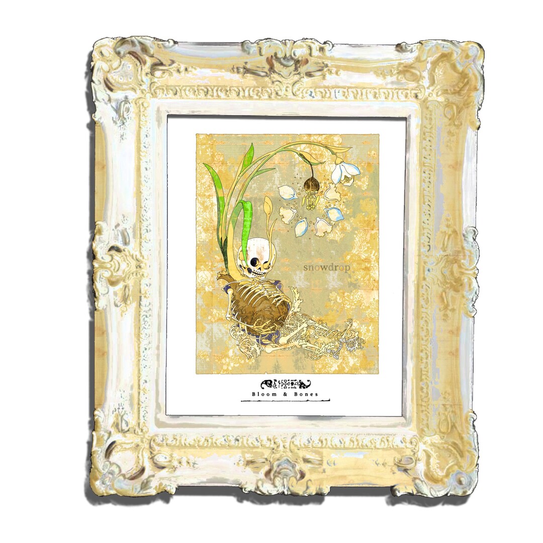 Snowdrop | Bloom & Flowers | Vintage Flower Prints | Skeleton Art ...