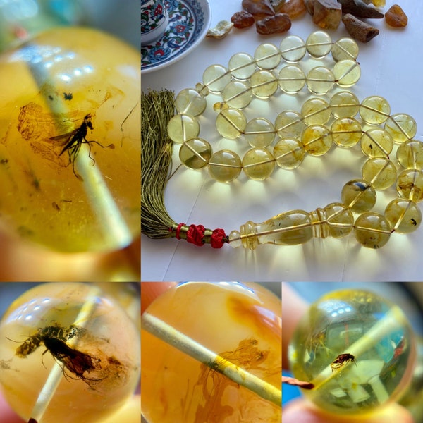 Amber Insect - Etsy