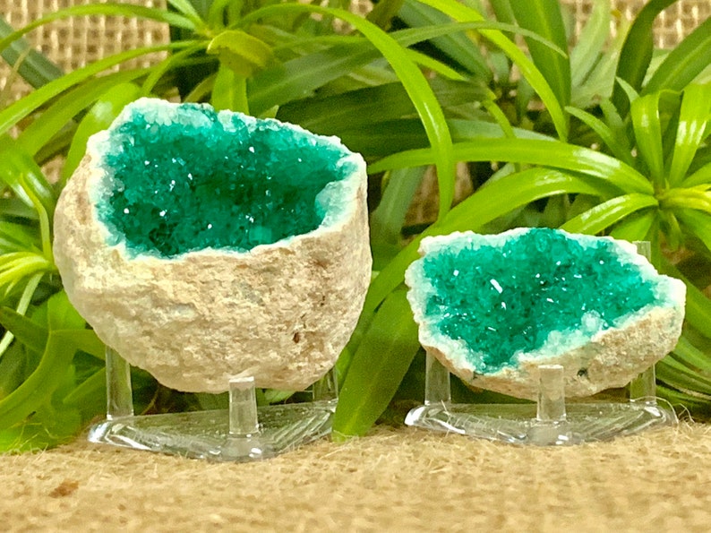 Green geode halves with stands dyed geodes crystal Quartz | Etsy