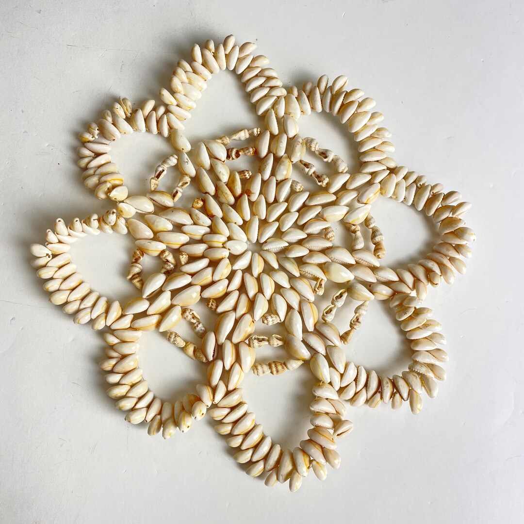 11" Cowrie Shell Trivet-placemat, MCM Shell Art, Seashell Kitchen ...