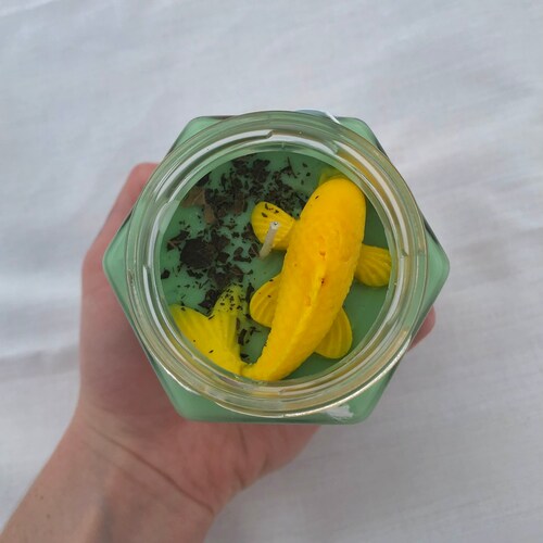 Sushi Candle Gift Set Original Assorted Sushi Candles Beeswax - Etsy UK