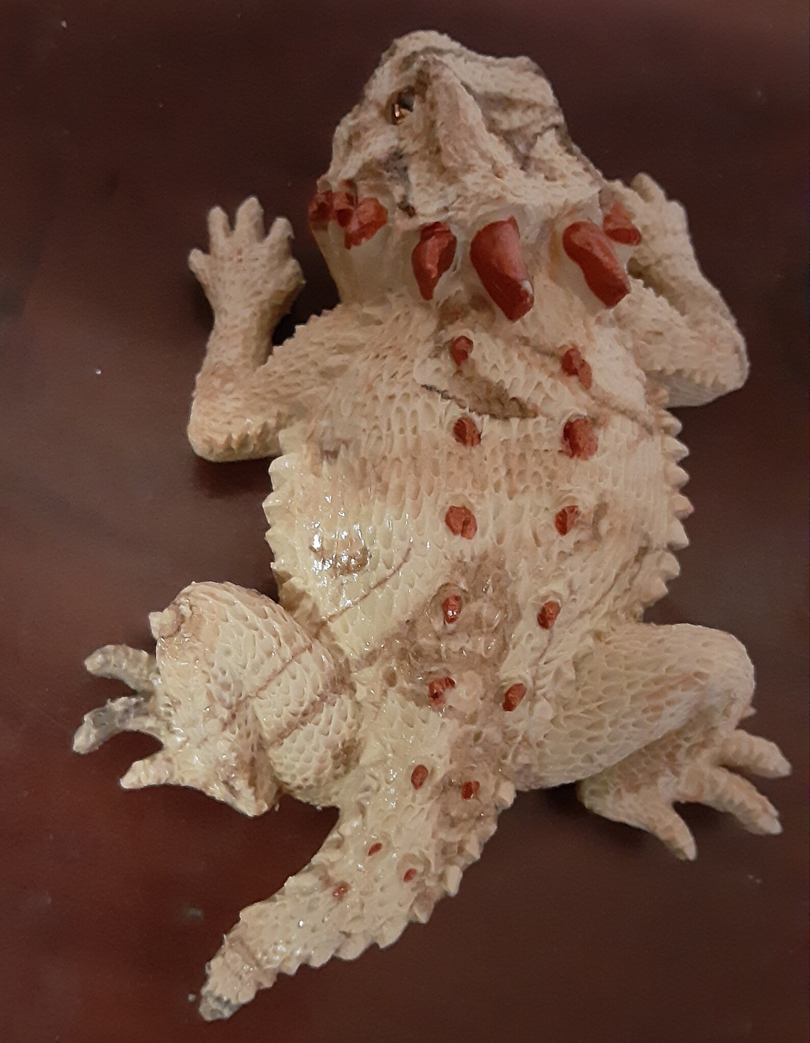 Horned Toad Horny Toad Horned Frog Horned Lizard Resin Clay Etsy