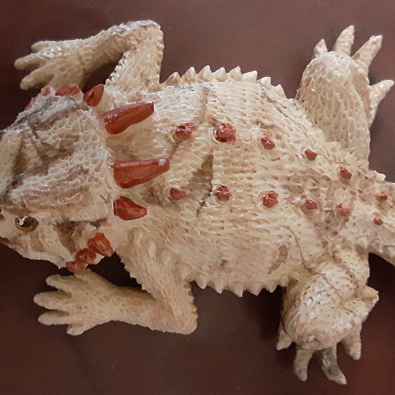 Concrete Toad - Etsy