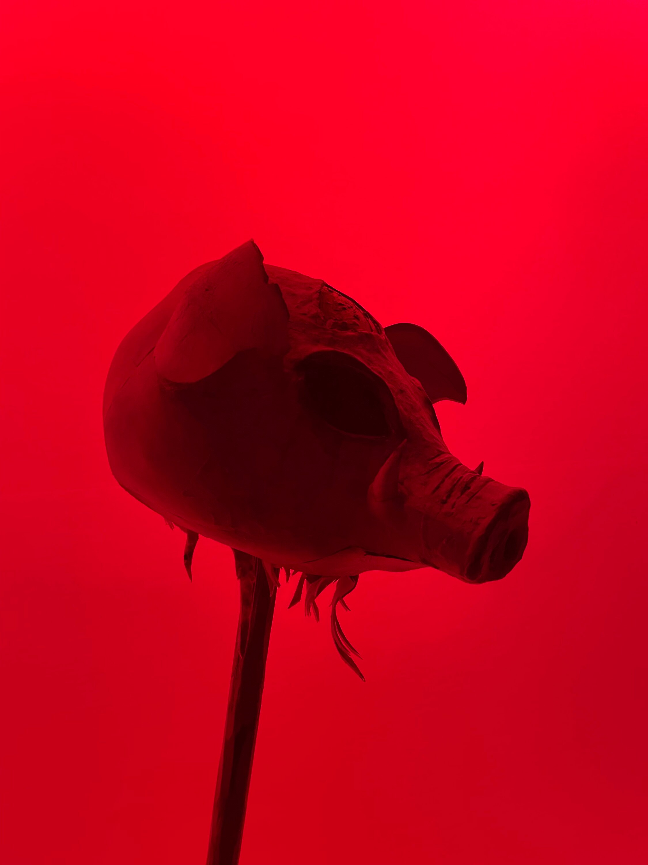 Custom Puppets, Any Size, Any Budget - Etsy