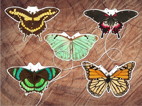 Butterflies Lacing Card Set Large Format Preschool Fine - Etsy Canada