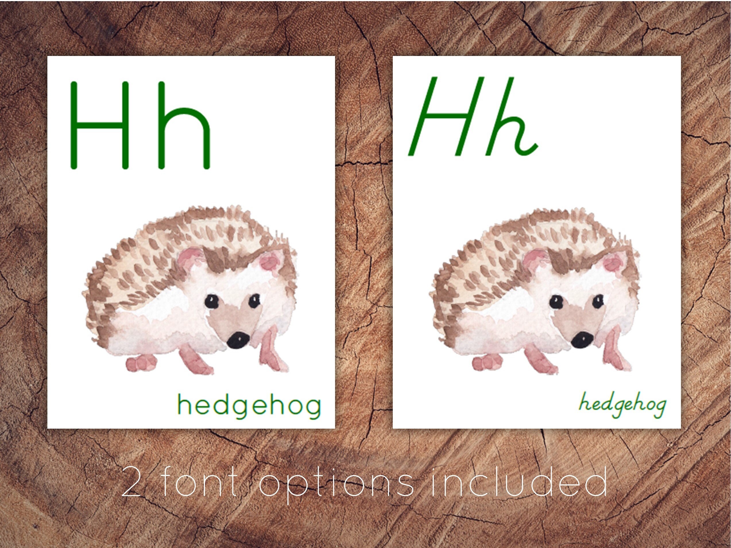 Forest Explorer Alphabet Cards Woodland Animal Nursery Decor - Etsy