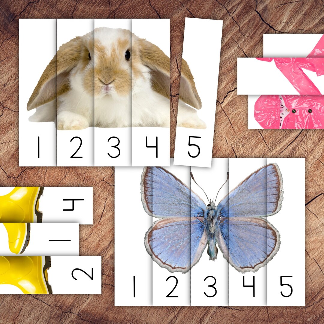 Spring Number Puzzles 1-5, Number Recognition, Order - Etsy