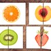 Fruit Slices Symmetry Puzzles Matching Cards Toddler | Etsy