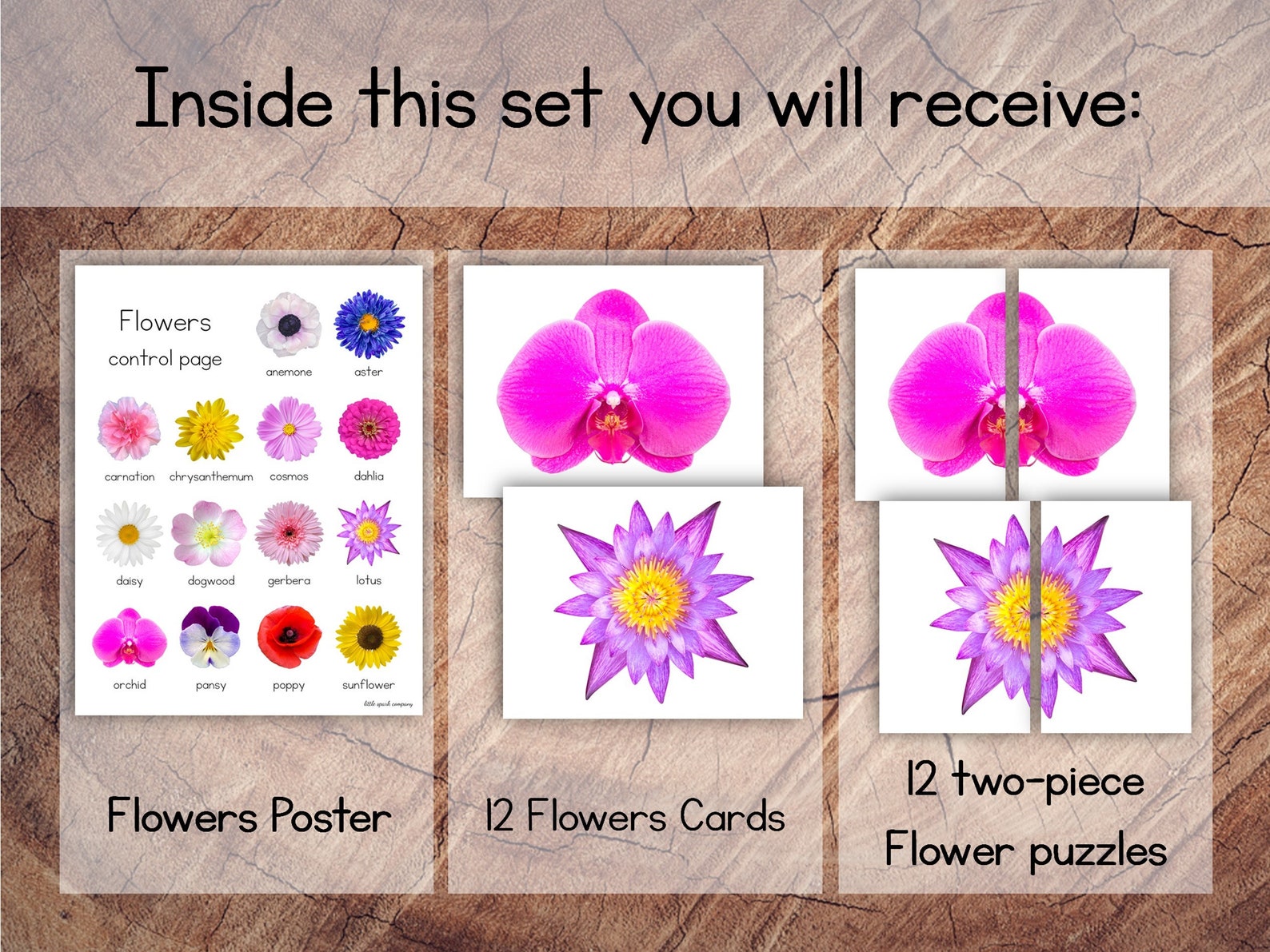 Flower Symmetry Puzzles Matching Cards Toddler Preschool - Etsy