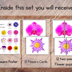Flower Symmetry Puzzles, Matching Cards, Toddler Preschool Activity - Etsy
