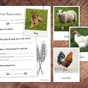 Farm Animals Pack With Extension - Etsy