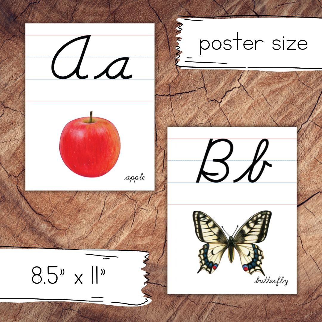 Cursive Alphabet Posters Lined, Large Format for Classroom Use - Etsy