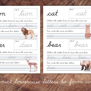 Animals of the World Cursive Workbook, Cursive Handwriting Practice - Etsy