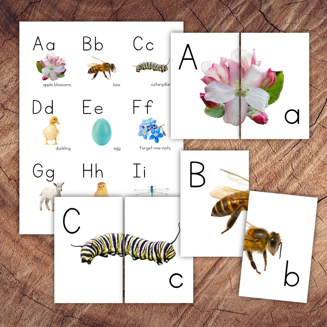 Spring Letter Match Puzzle Set, Alphabet Matching - Etsy