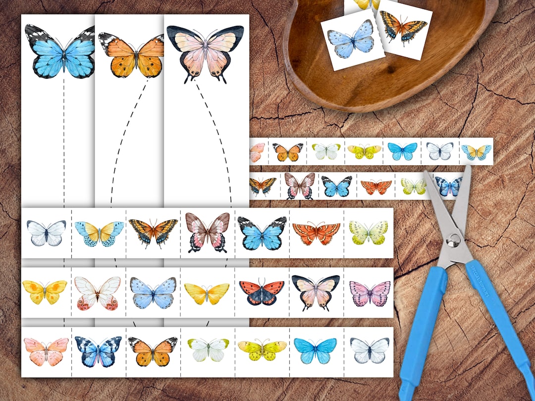 Butterflies Scissor Strips Set, Preschool Scissor Practice - Etsy