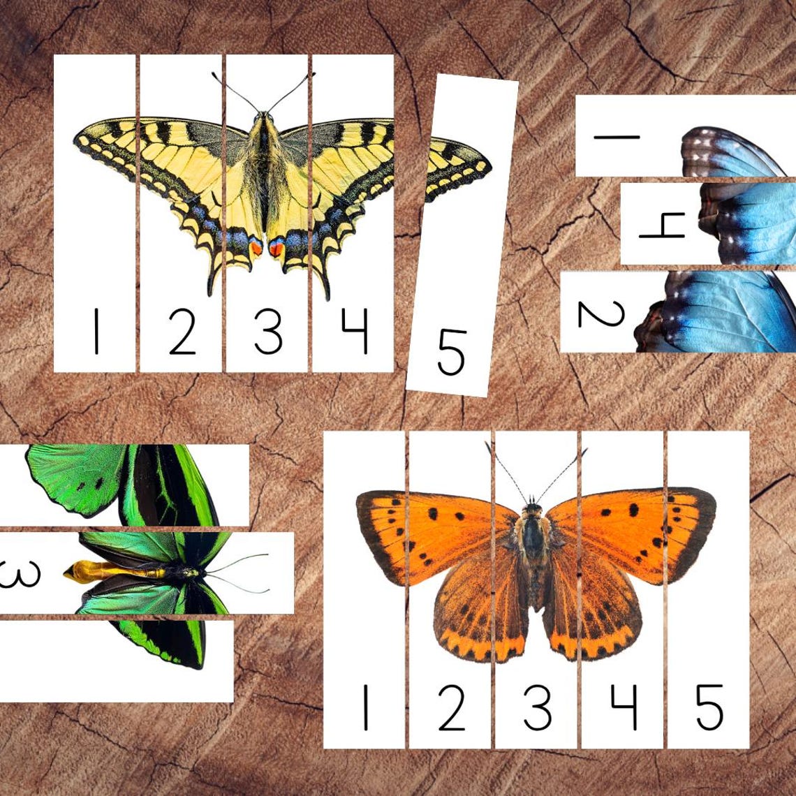 Butterfly Number Puzzles 1-5, Number Recognition, Order - Etsy