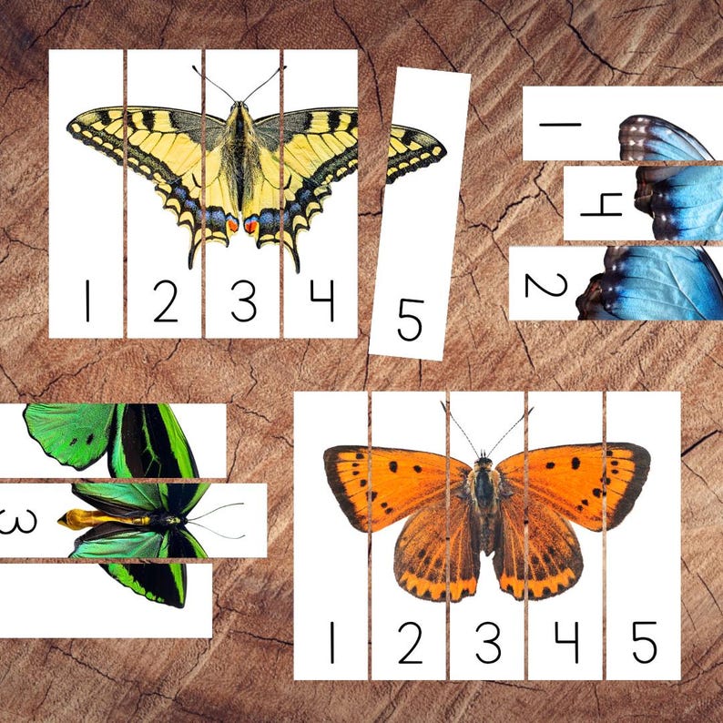 Butterfly Number Puzzles 1-5, Number Recognition, Order - Etsy