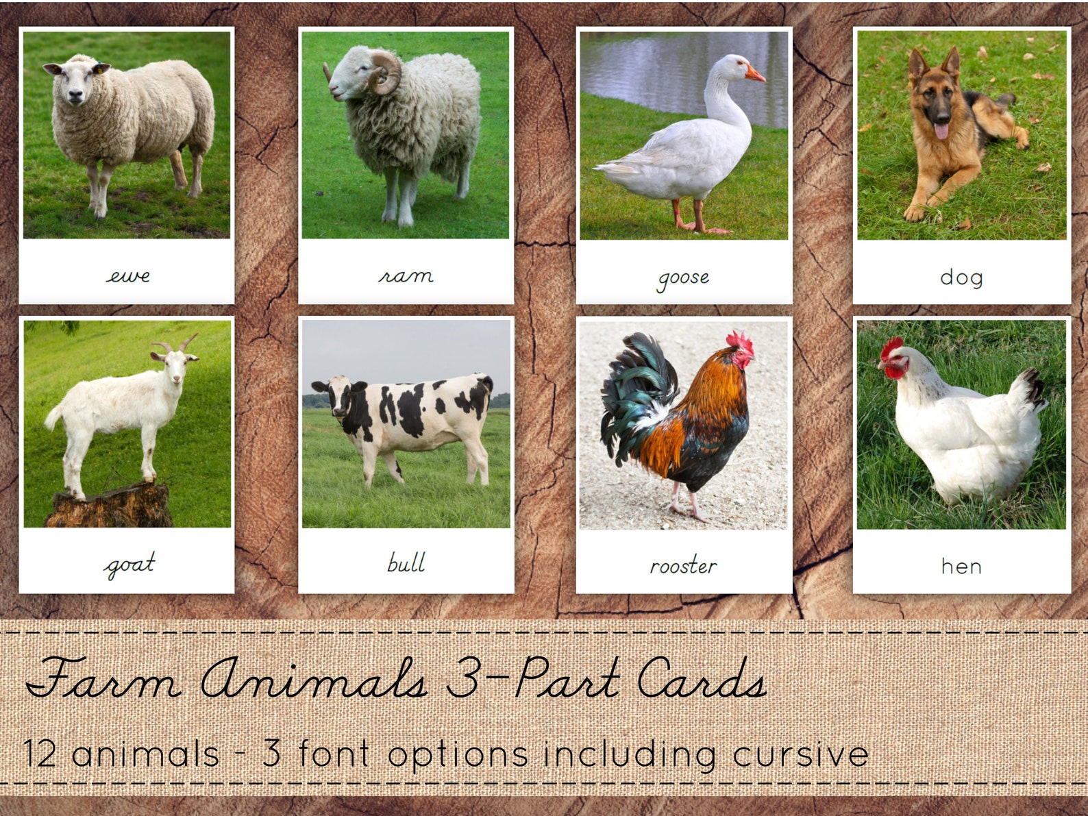 Farm Animals 3 Part Cards Montessori Nomenclature Cards - Etsy