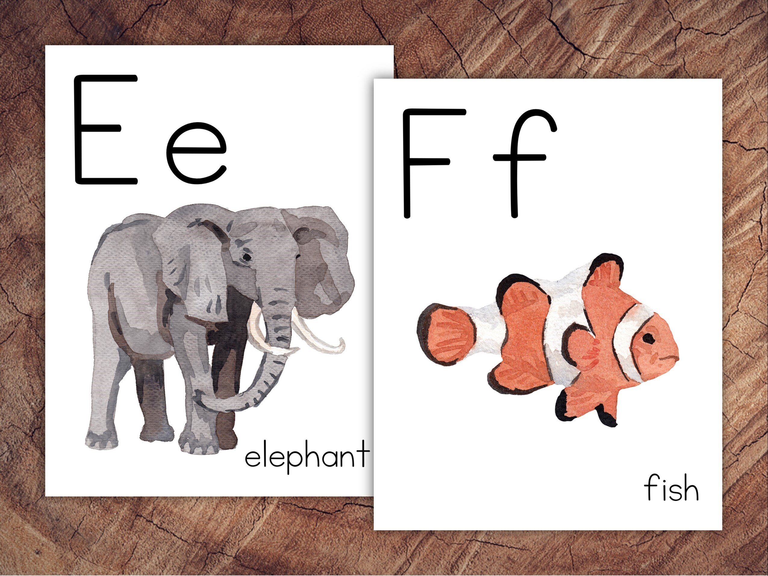 Animals of the World Alphabet Posters, Large Format for Classroom Use ...