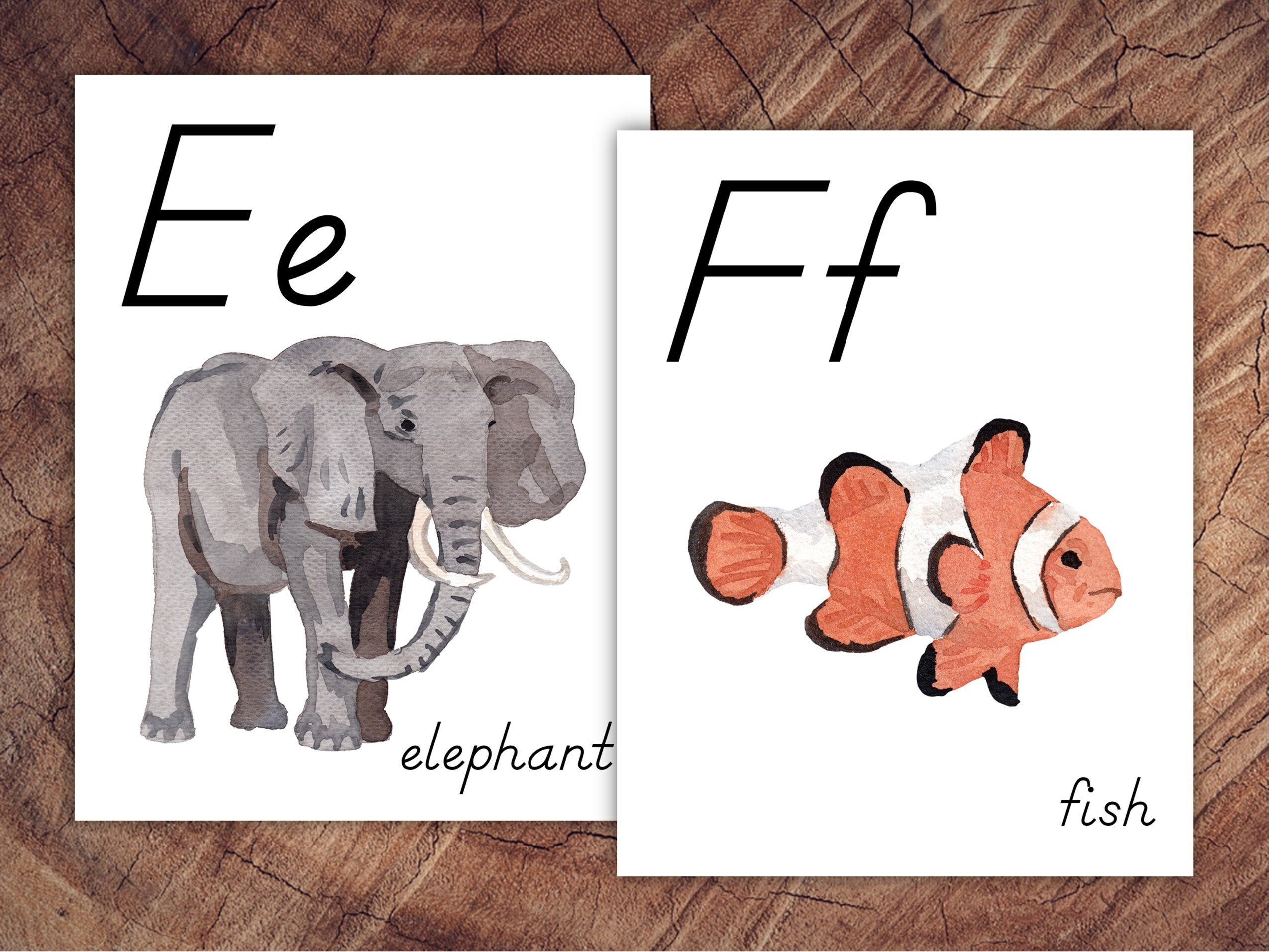 Animals of the World Alphabet Posters D'nealian-style | Etsy