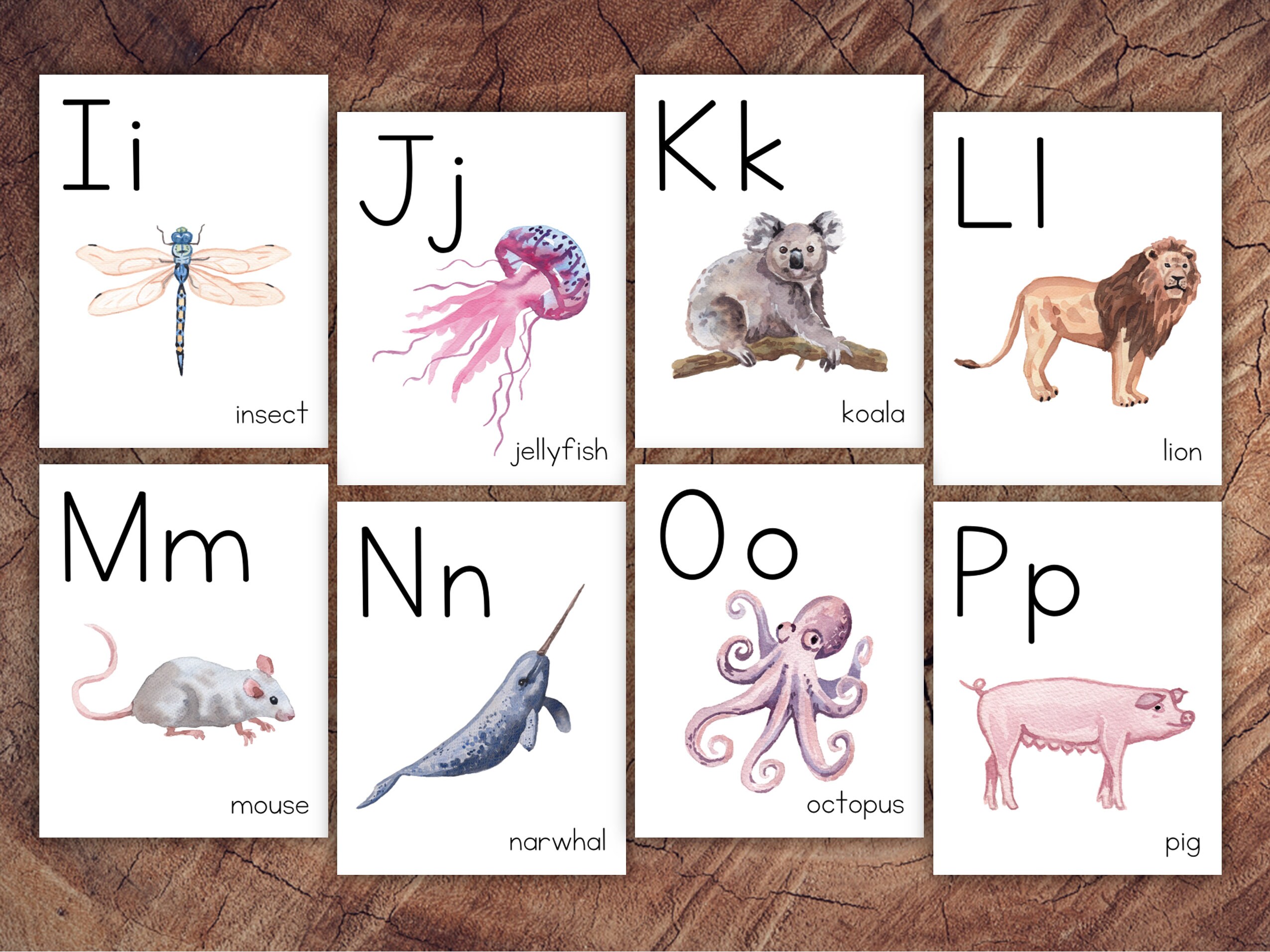 Animals of the World Alphabet Cards Manuscript Print - Etsy