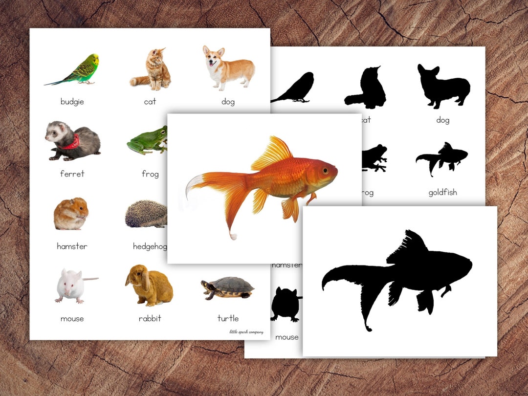 Pets Picture Matching Cards, Silhouette Matching, Toddler Preschool ...