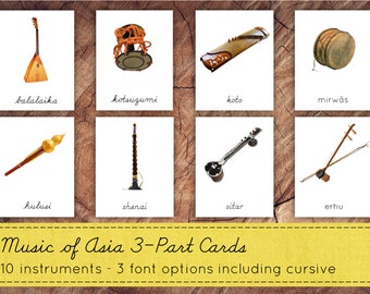 Toys Toys & Games Montessori Nomenclature Cards South American Musical ...