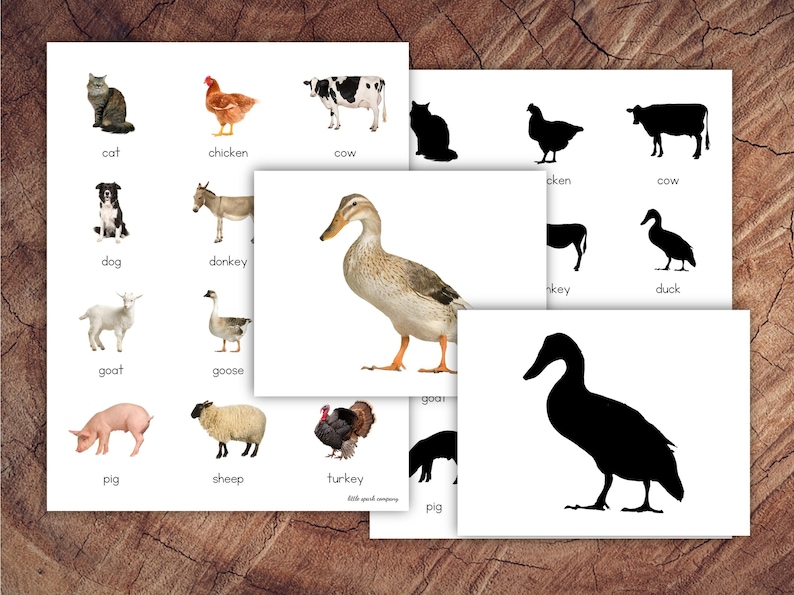 Farm Shadow Matching Cards, Silhouette Matching, Toddler Preschool ...