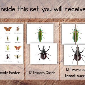 Insect Symmetry Puzzles, Matching Cards, Toddler Preschool Activity - Etsy