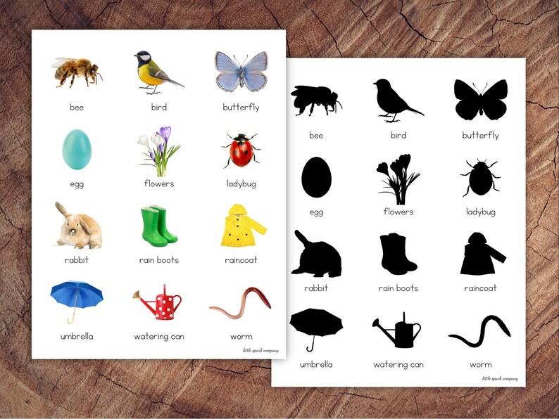 Spring Picture Matching Cards, Silhouette Matching, Toddler Preschool ...