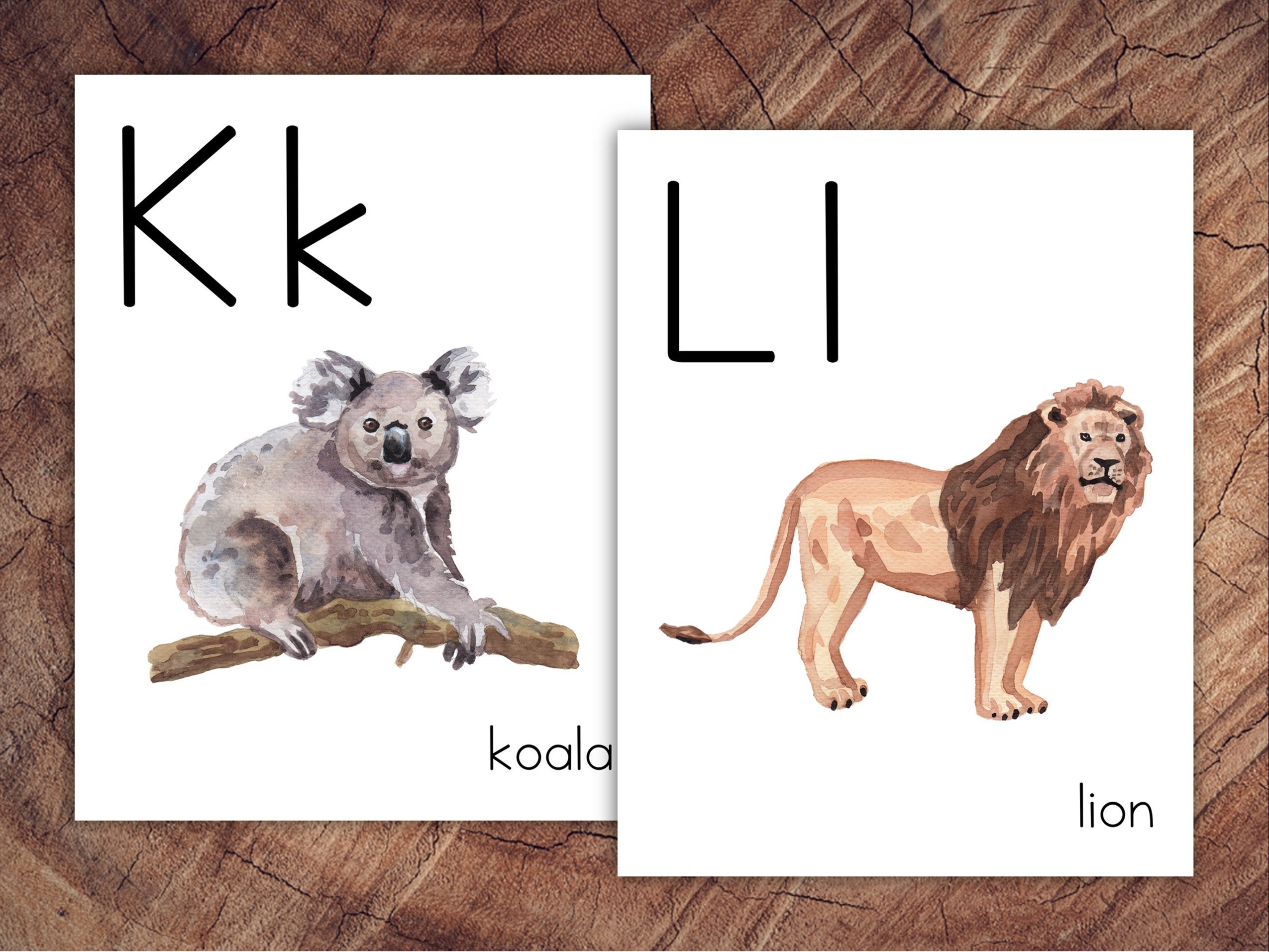 Animals of the World Alphabet Posters, Large Format for Classroom Use ...