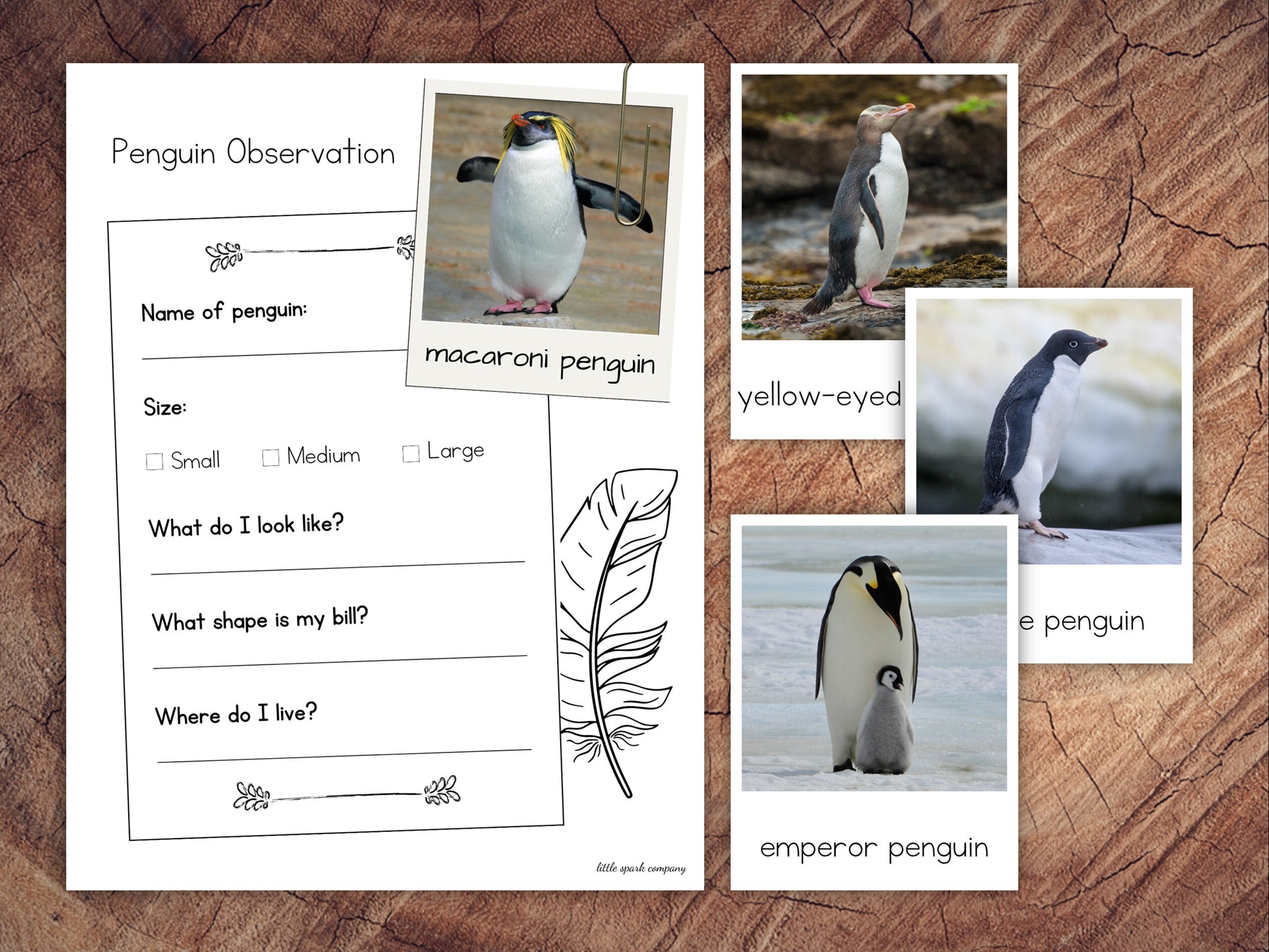 Penguins Pack With Extension - Etsy