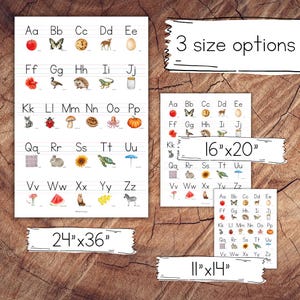 Alphabet Poster Set, Lined, 3 Size Options - Etsy
