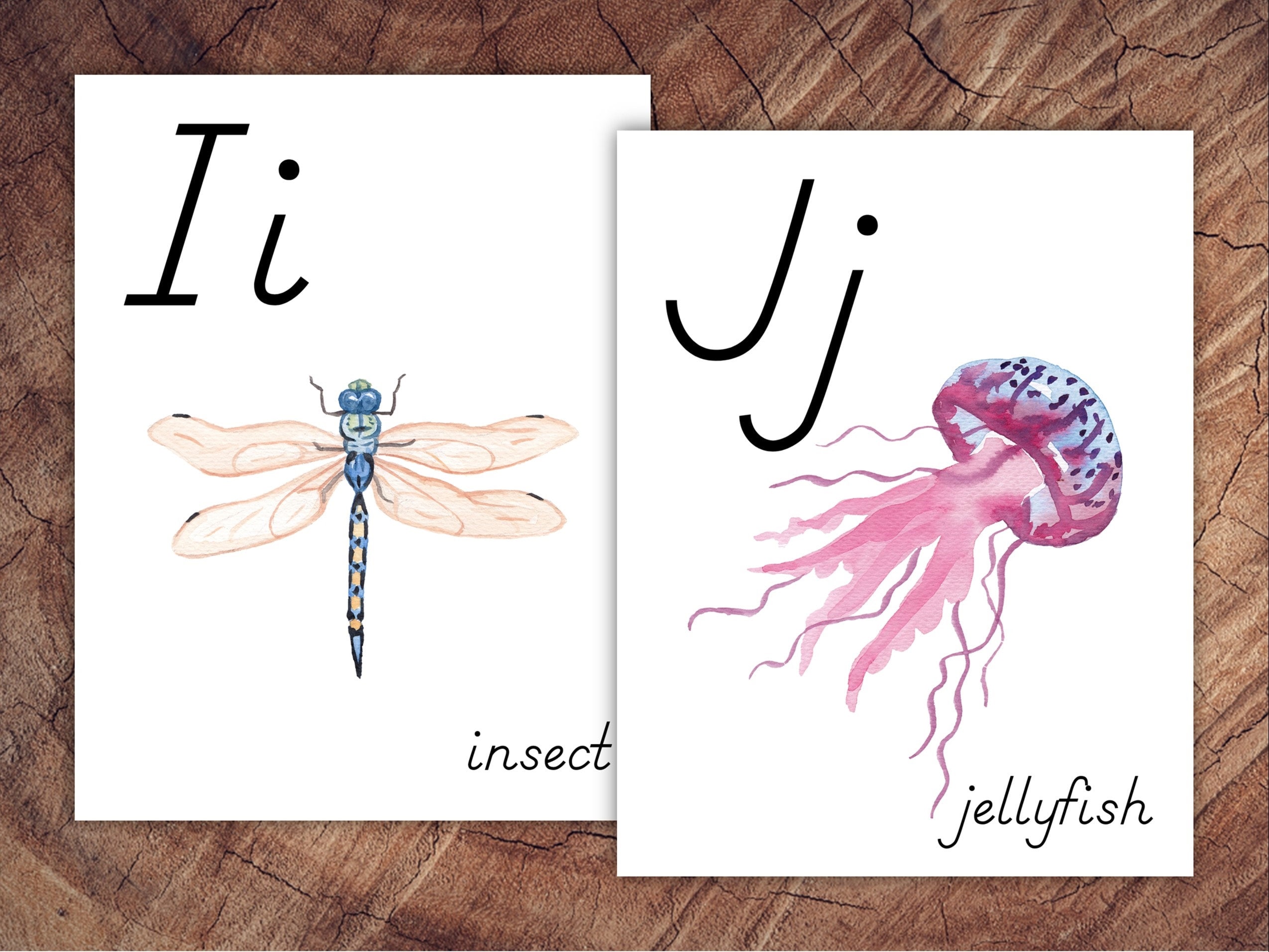 Animals of the World Alphabet Posters D'nealian-style | Etsy