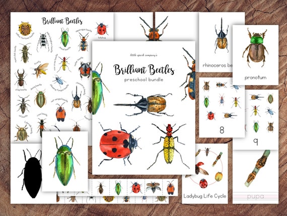 Brilliant Beetles Preschool Bundle Homeschool Printable | Etsy