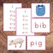 Montessori Pink Series Language Cards, Learn to Read CVC Words (Instant ...