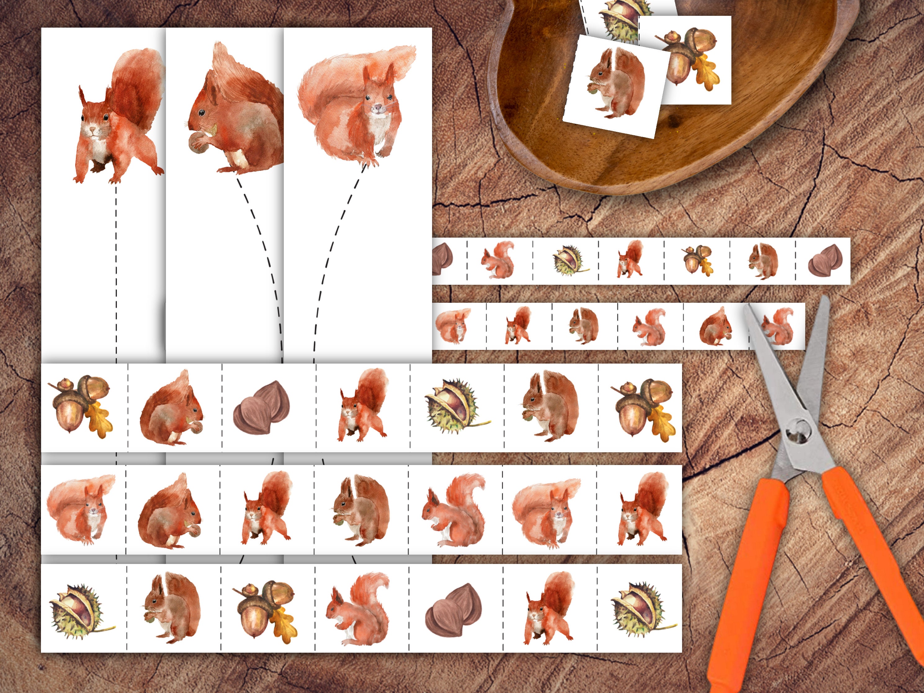 Squirrels Scissor Strips Set, Preschool Scissor Practice - Etsy