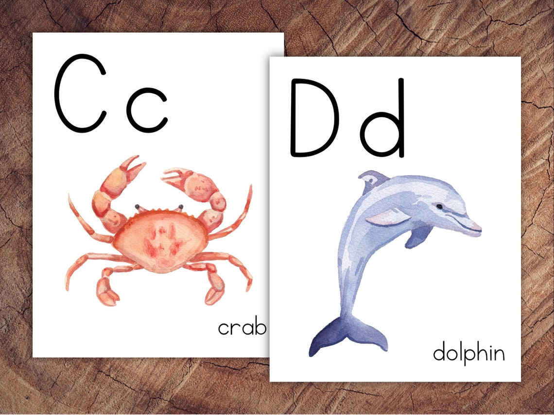 Alphabet Posters Large Format for Classroom Use - Etsy