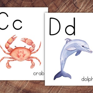 Alphabet Posters, Large Format for Classroom Use - Etsy