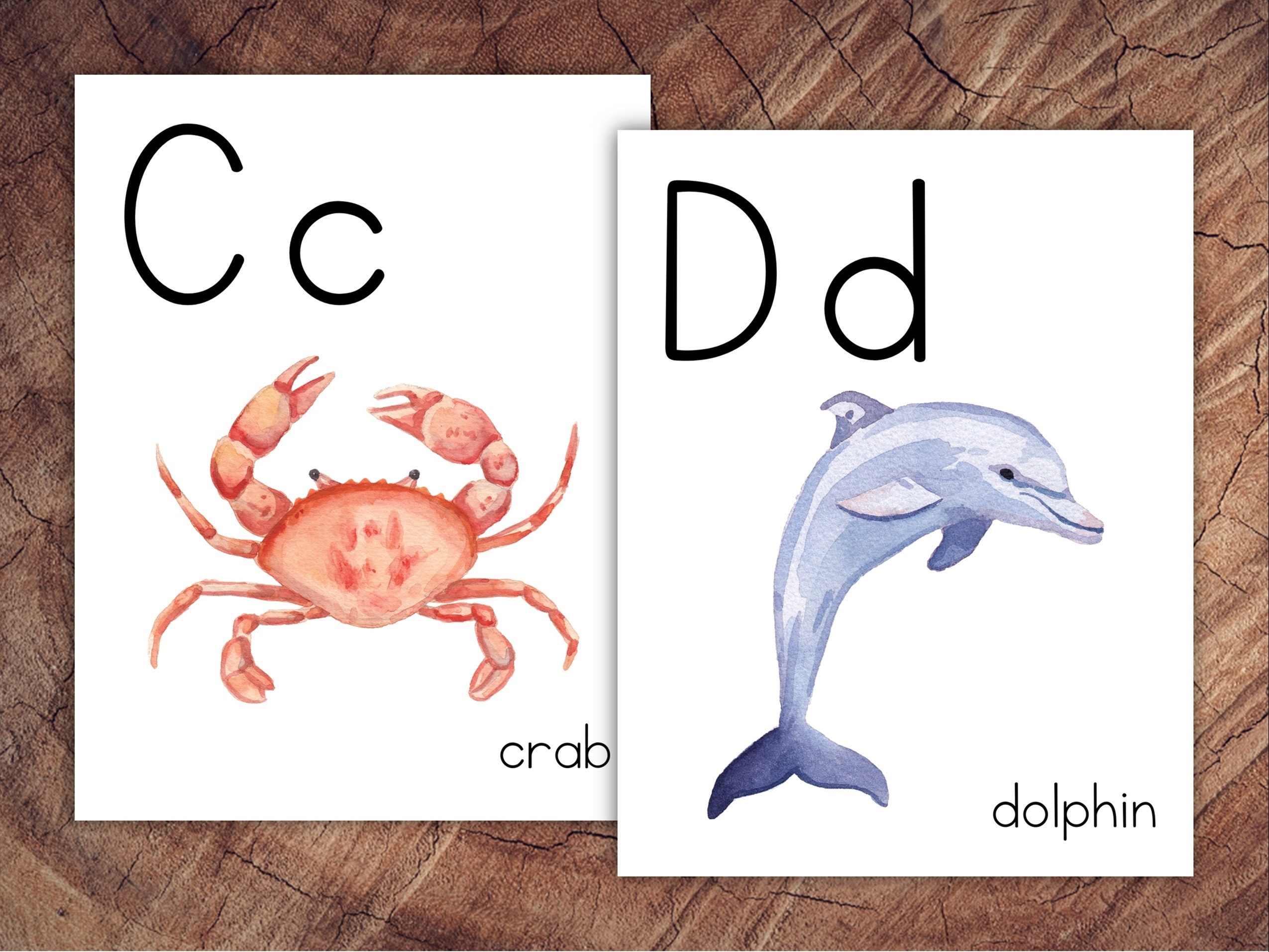 Alphabet Posters Large Format for Classroom Use - Etsy