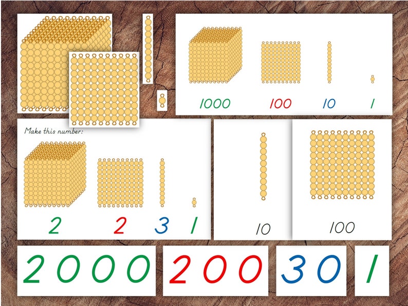 Montessori Golden Beads Bundle Printable Math Resource | Etsy