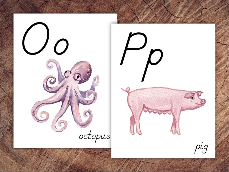 Animals of the World Alphabet Posters D'nealian-style - Etsy