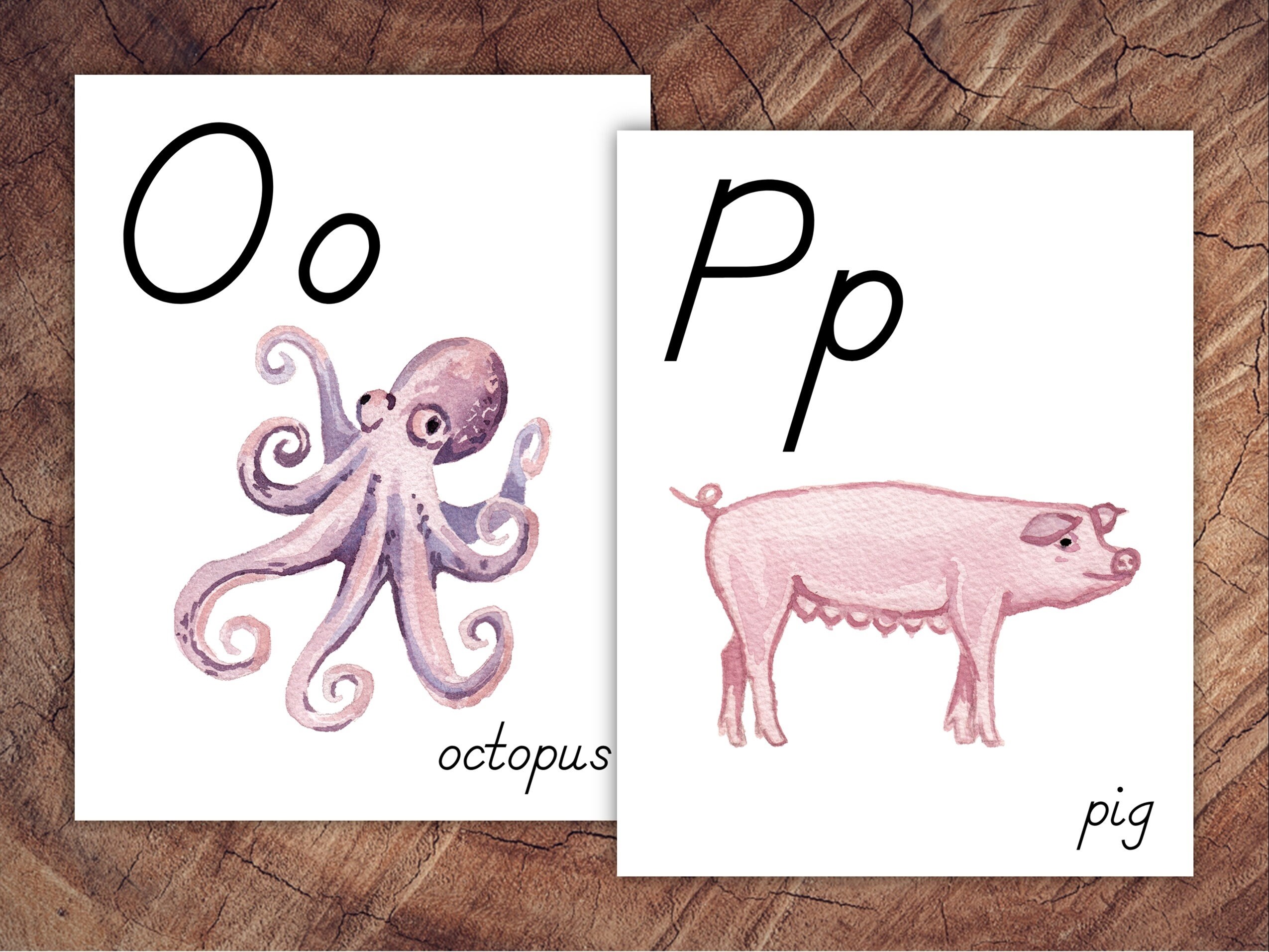 Animals of the World Alphabet Posters D'nealian-style | Etsy