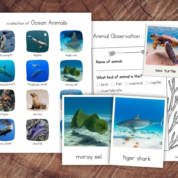 Ocean Animals - Etsy