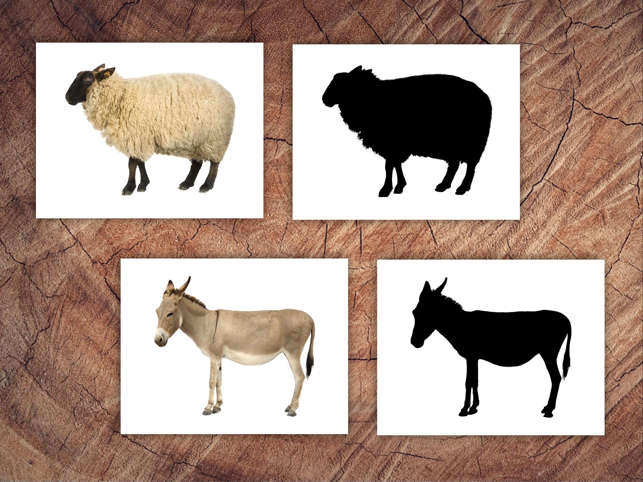 Farm Shadow Matching Cards, Silhouette Matching, Toddler Preschool ...