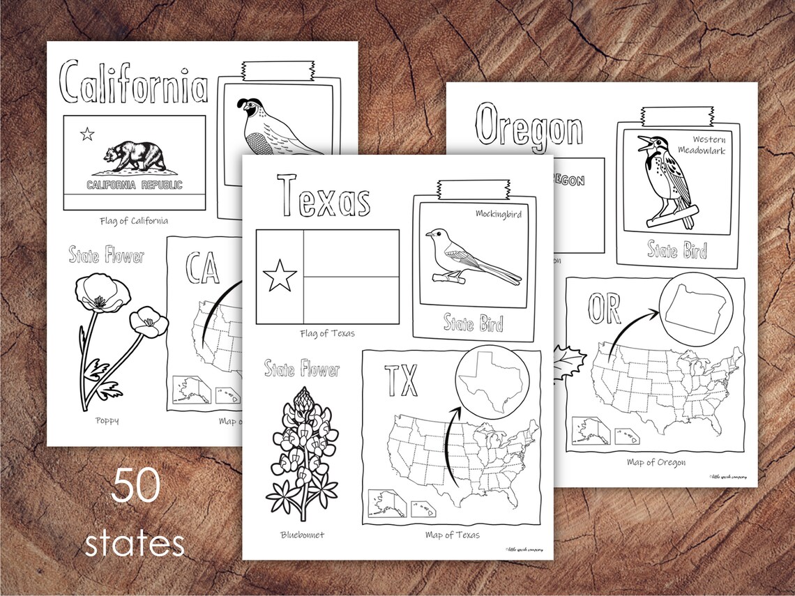US States Research Pack Homeschool Geography - Etsy